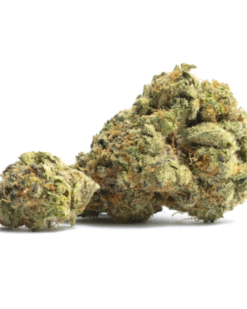 Hybrid Archives | The Weed Mann
